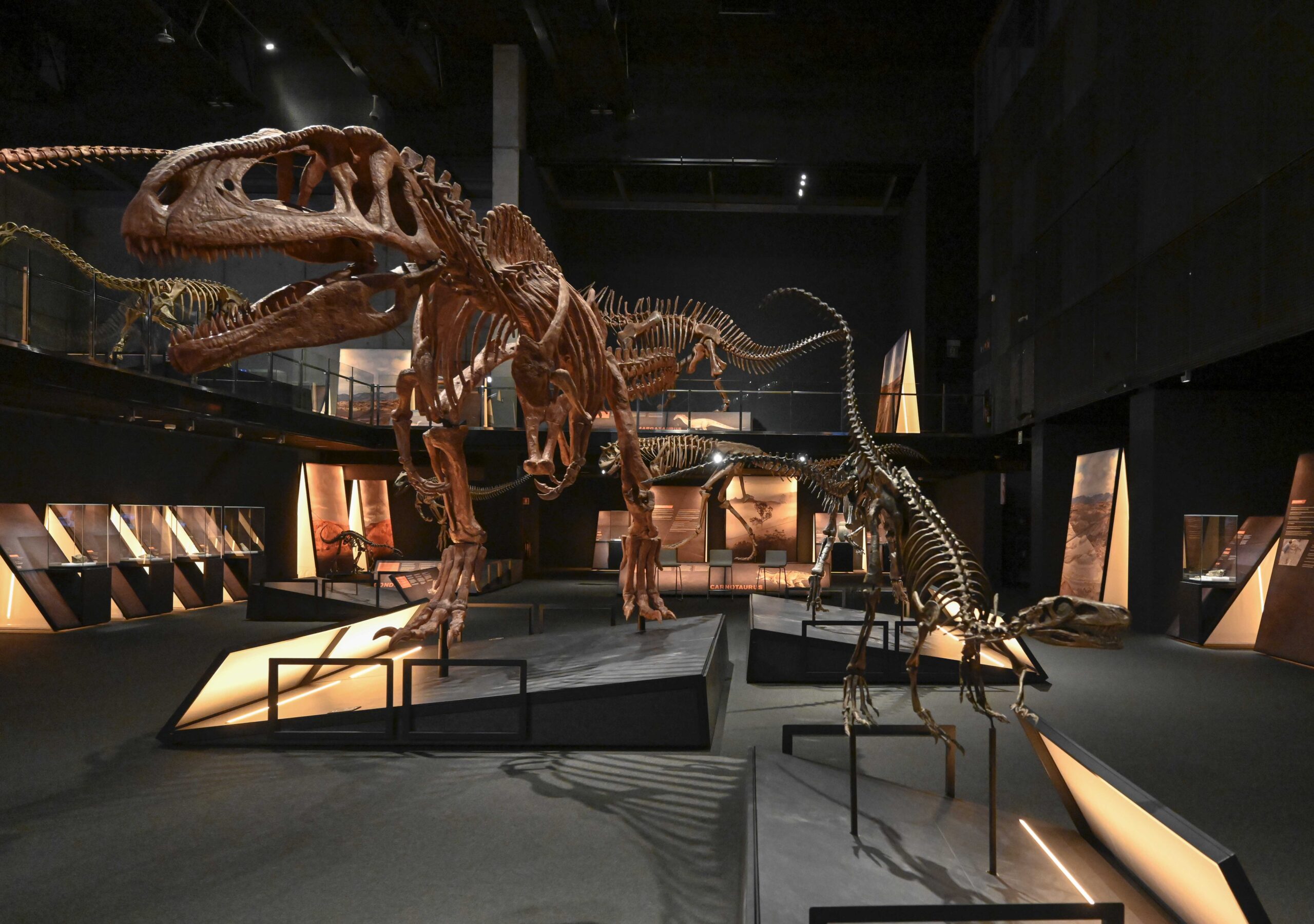 Dinosaurios de la Patagonia | Exposición en el Museo de la Ciencia ...